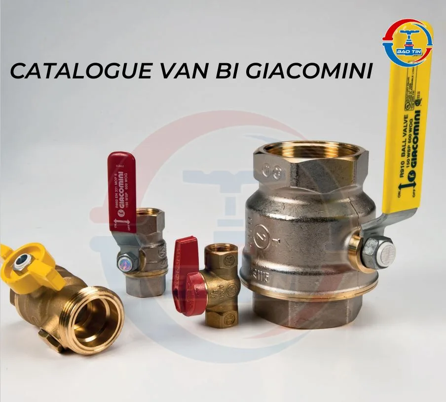 Catalogue van bi Giacomini 2025 - Van công nghiệp Bảo Tín